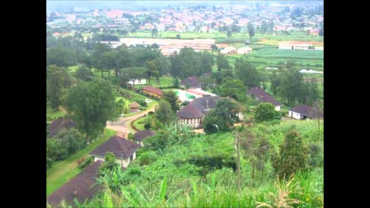 ≫ Dschang au Cameroun : Découvrez cette ville dynamique et ...