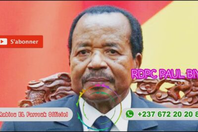 ≫ Logo RDPC Cameroun : Histoire et Signification 2024 - Cameroun Blog