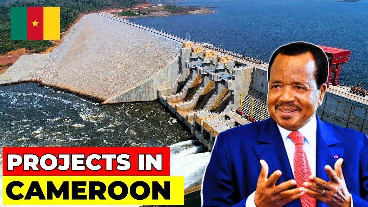 ≫ Découvrez la délicieuse histoire de Pizzarotti au Cameroun ! 2025 ...